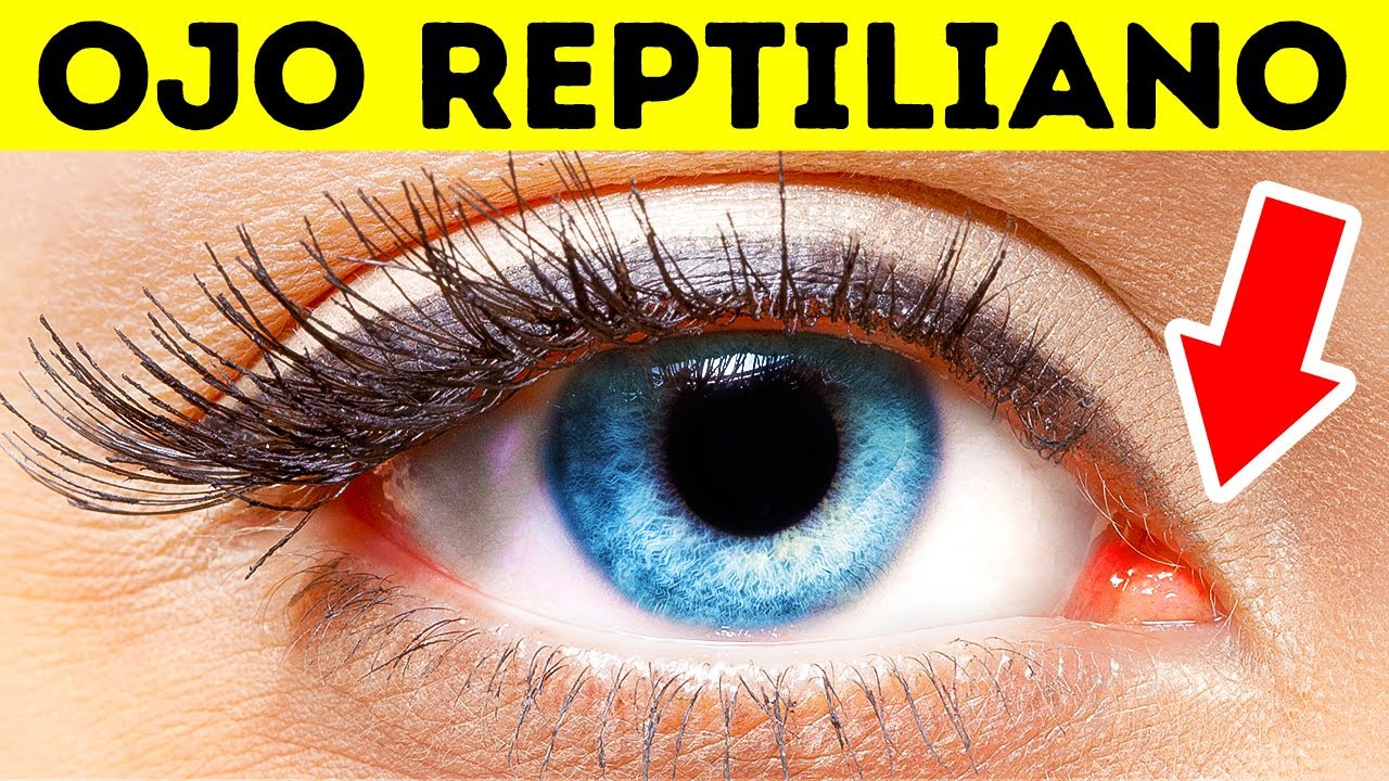 Qué es esa parte rosa de tu ojo y 21 datos geniales del cuerpo - YouTube