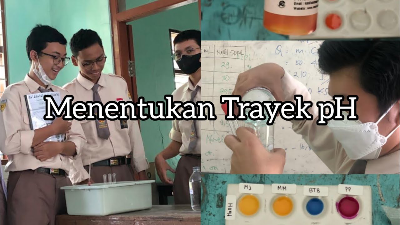 Menentukan Trayek pH dengan beberapa indikator - PRAKTEK - YouTube
