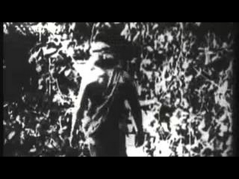 Tarzan of the Apes (1918) Silent Movie