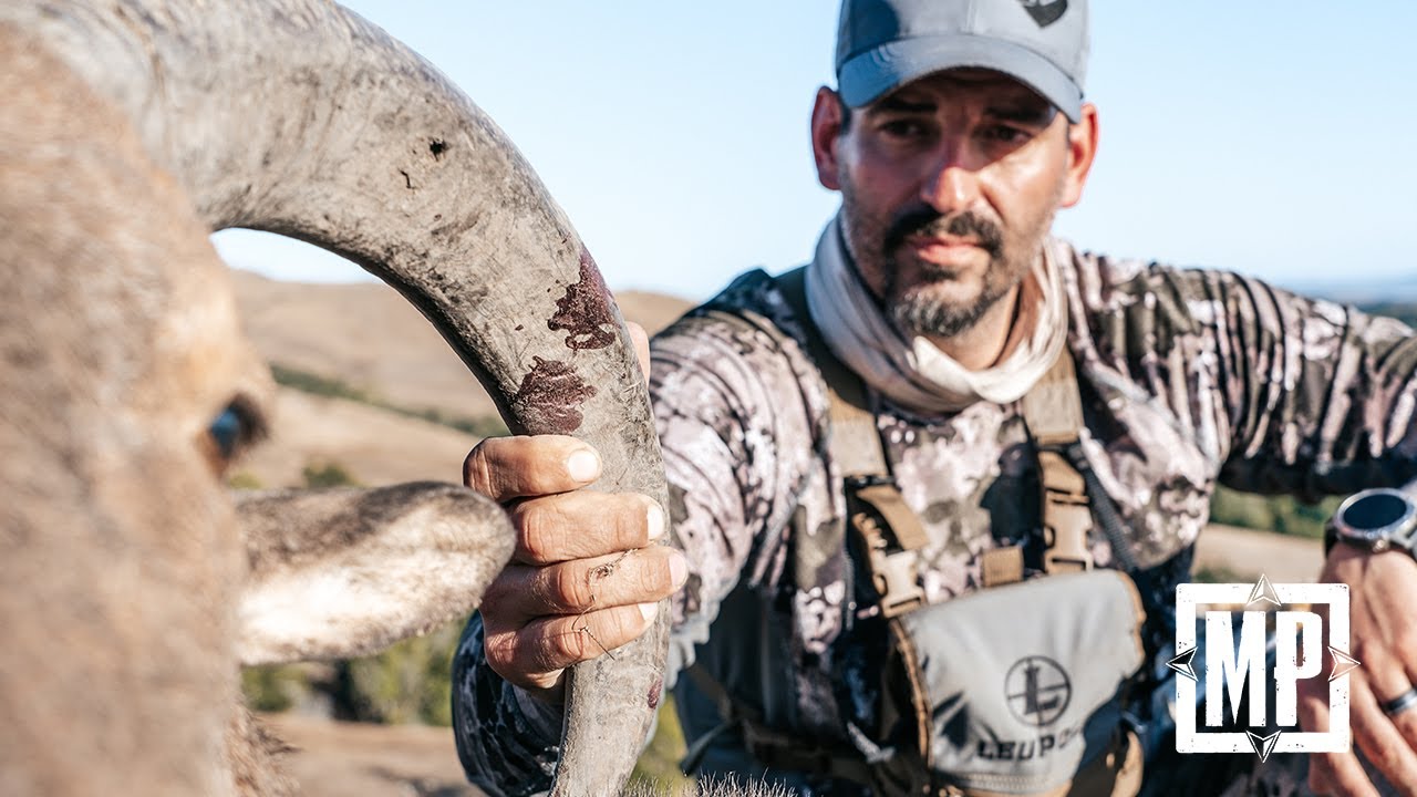 Chasing Giant Aoudad in California | Mark V. Peterson Hunting - YouTube