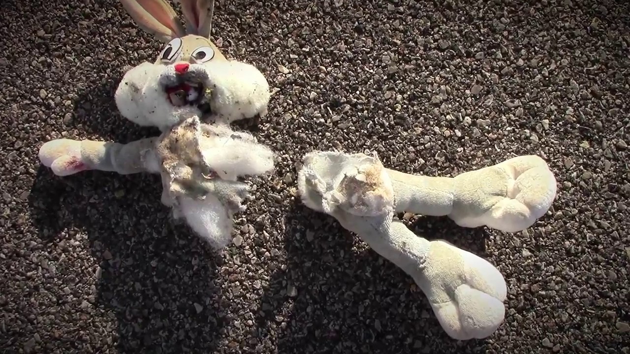 Experiment - Bunny Explosion - YouTube