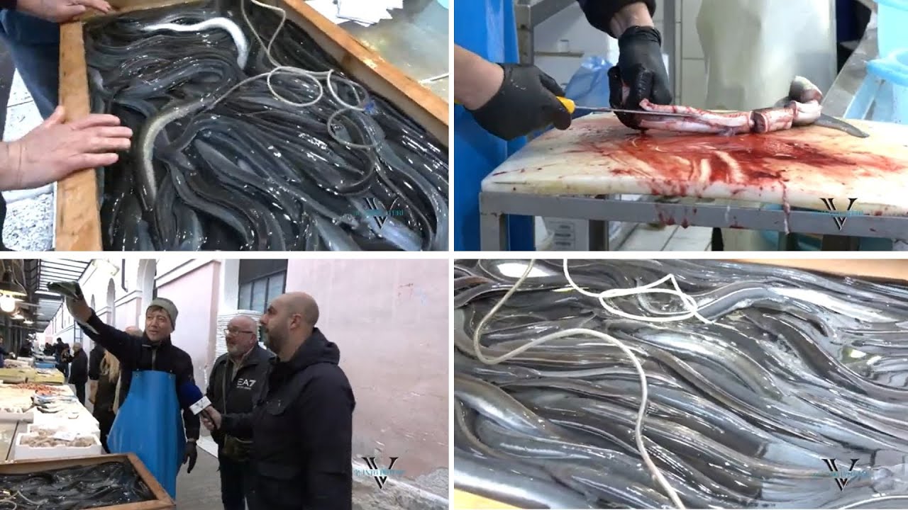 Natale a tavola, il "serpente" di mare fa impazzire i baresi: il ...