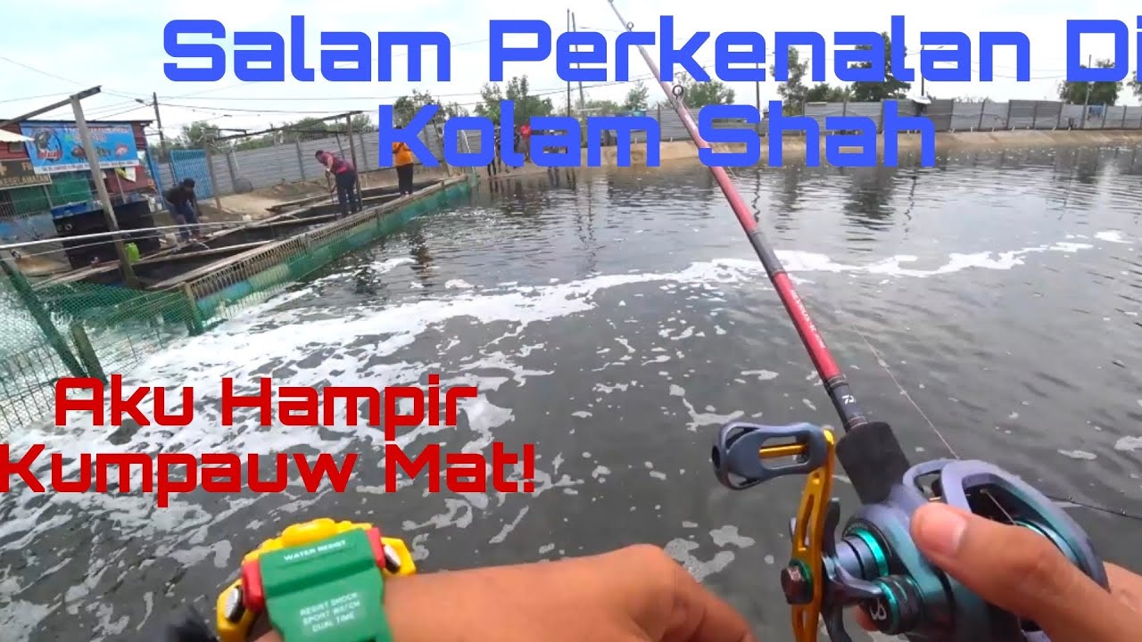#01 Kolam Shah Teluk Jawa | Masai | Johor | Hampir Kumpauw Aku Geng ...