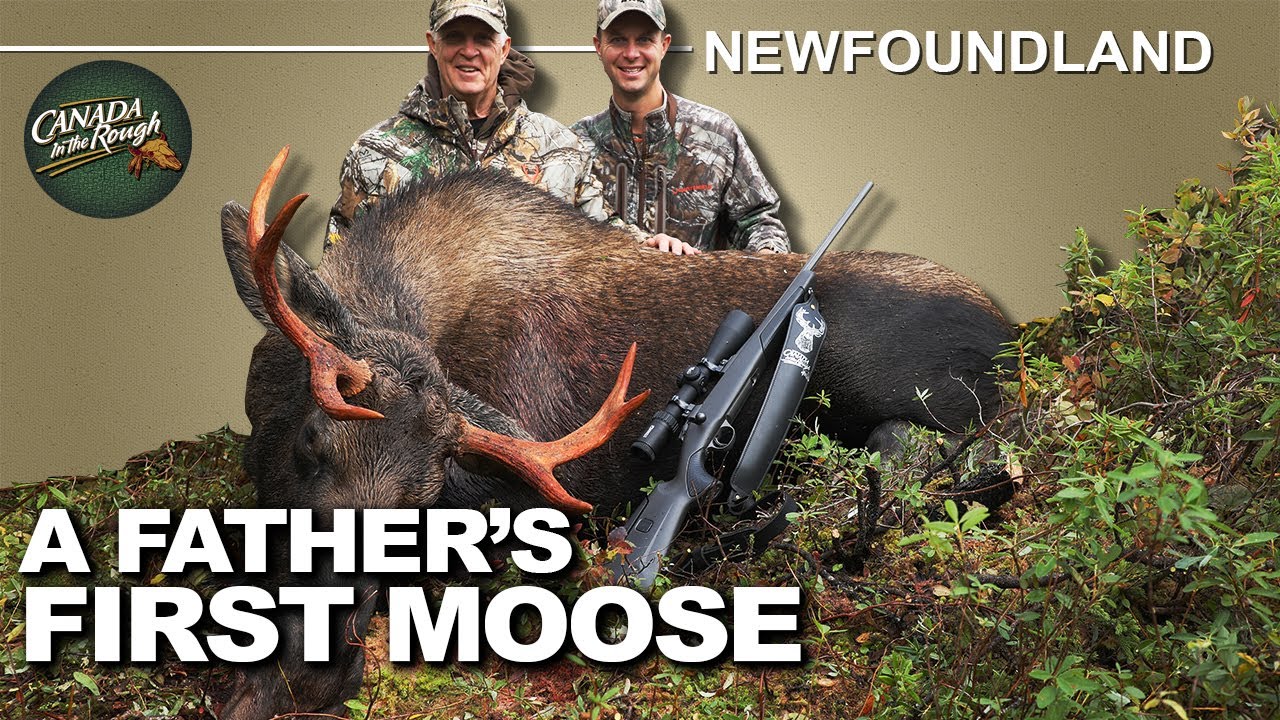Unforgettable First-Time Moose Hunt in Newfoundland | Canada in the ...
