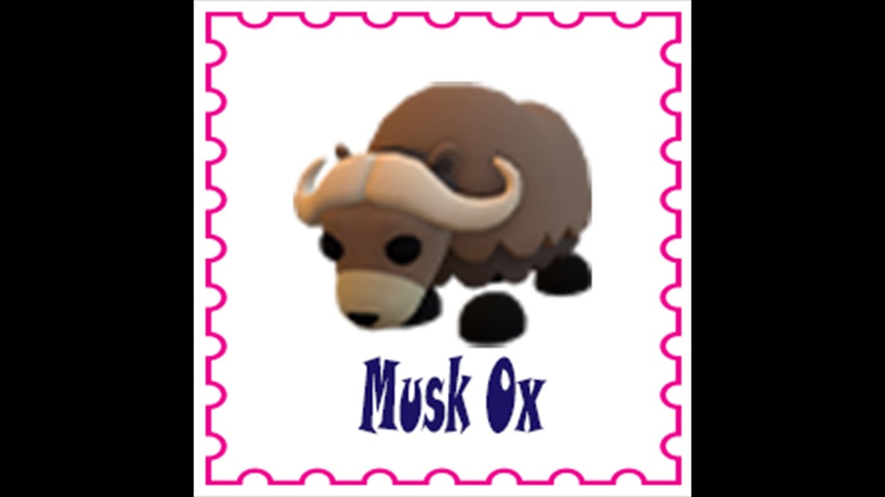 Musk Ox | Roblox | Adopt Me! | RARE PETS | #roblox | How many Rare Pets ...