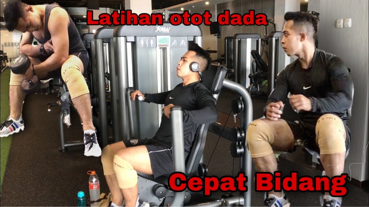 CARA MEMBENTUK OTOT DADA (Bench Press) YG BAIK DAN BENAR SUPAYA BIDANG ...