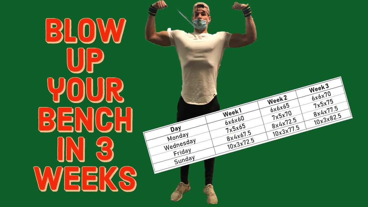 HOW TO INCREASE YOUR BENCH 40LBS IN 3 WEEKS - YouTube