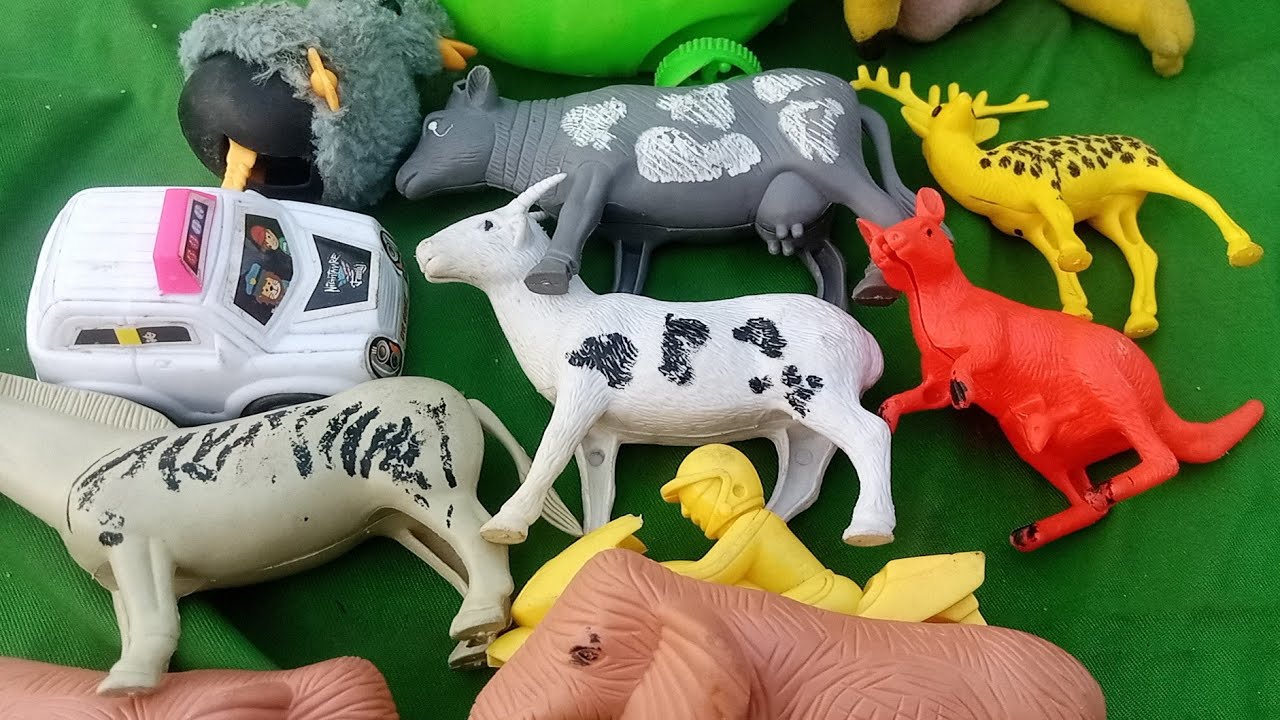 zoo animal toy whild Animals toys play with tigers lion deer ghora ...