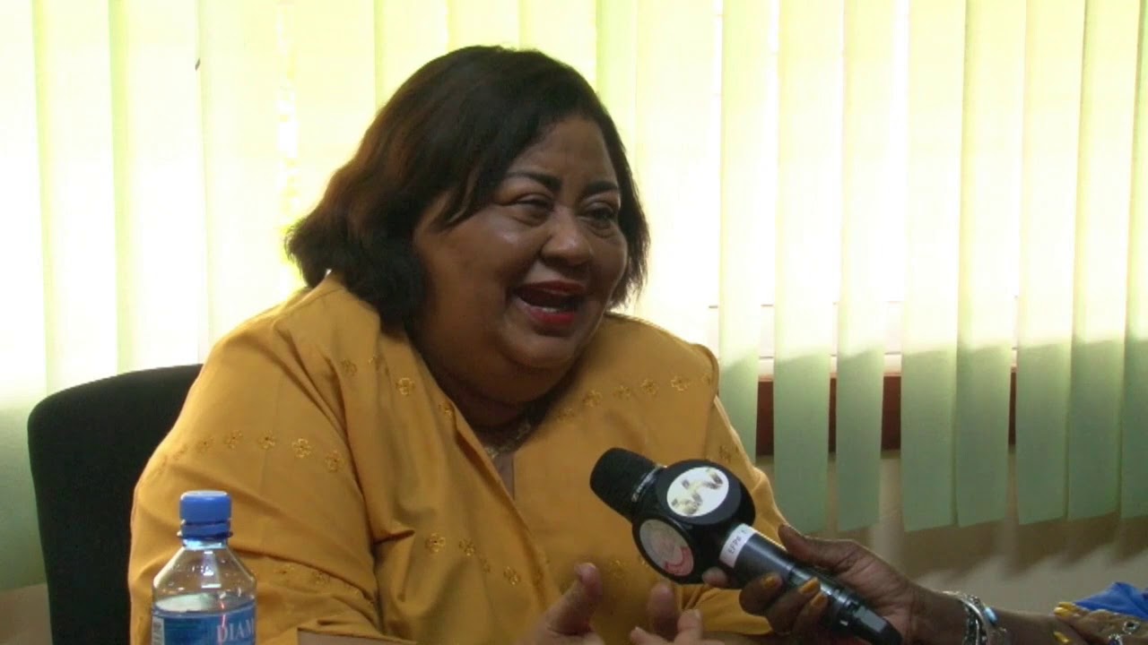 13 08 2019 Jennifer Van Dijk-Silos over NRA - YouTube