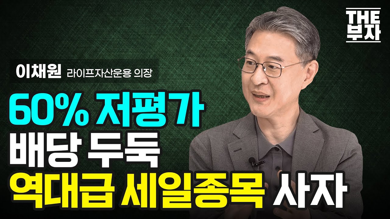 지주사 주식은 지금 바겐세일 중 싸게 살 수 있는 마지막 기회일지도 모릅니다 ㅣ 더부자 이채원 라이프자산운용 의장