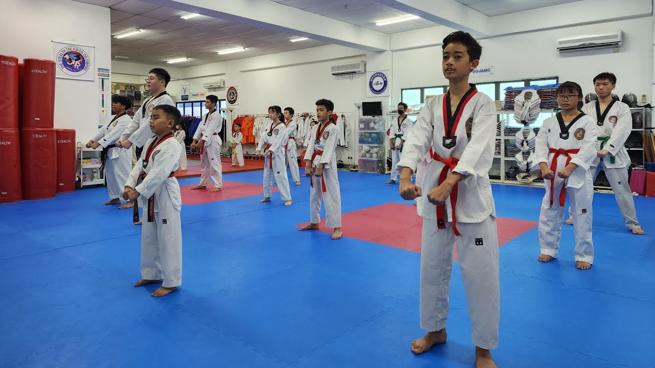 Stealth Taekwondo - Poomsae Training Taegeuk 1 Il Jang - YouTube