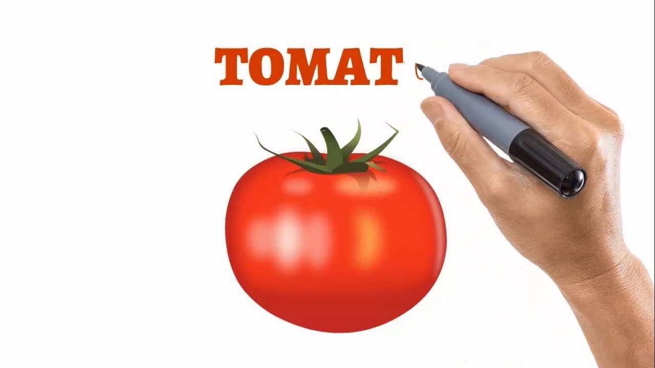 how-to-draw-a-tomato-review-youtube