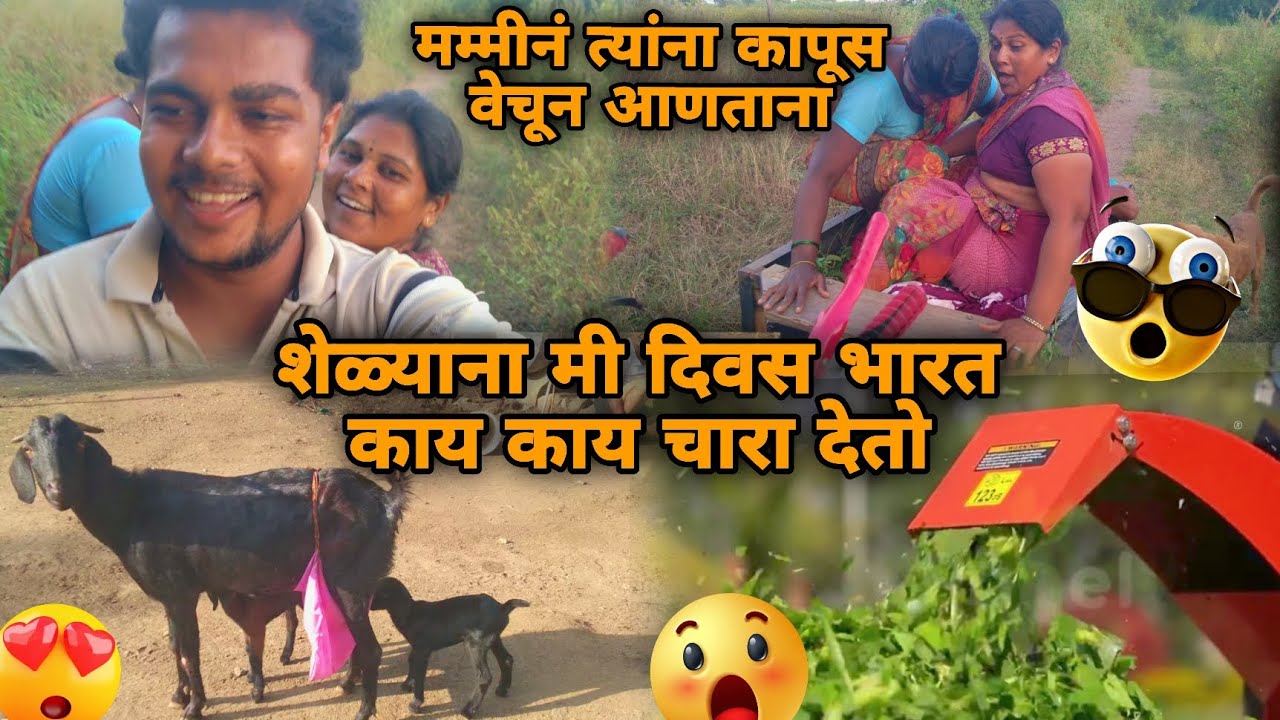 शेळ्यांना मी दिवसभर काय चारा टाकतो | मम्मी एवढी का घाबरली 😱 | Marathi ...