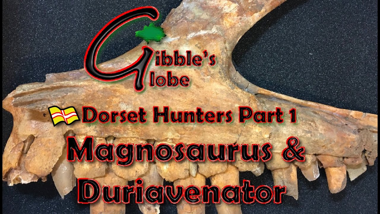 Dorset Hunters Part 1: Magnosaurus & Duriavenator - YouTube