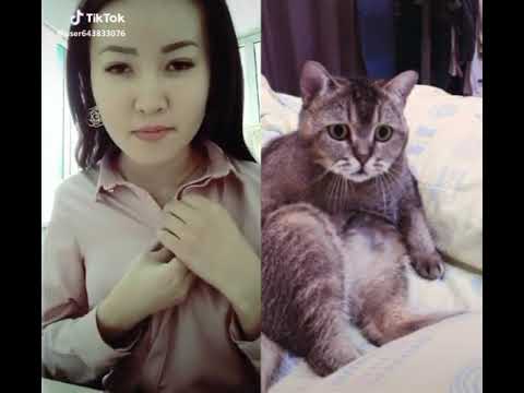 Sapık kedi