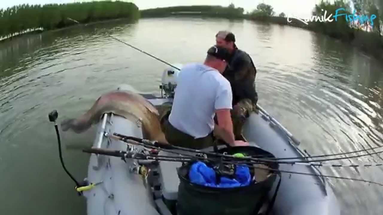 Ogromne sumy z Odry i Po - Kurnik Fishing. - YouTube