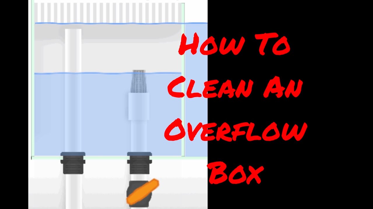 How to Clean an Overflow Box - YouTube