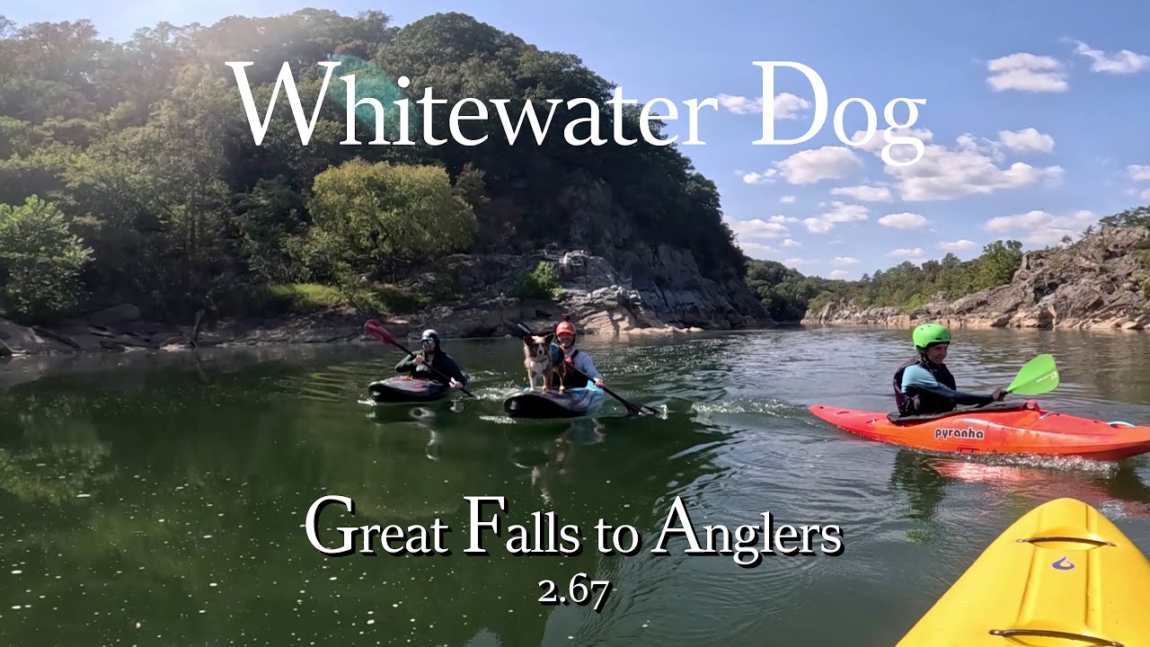 Whitewater Dog, Great Falls to Anglers, 2.67, 2025-09-13 - YouTube