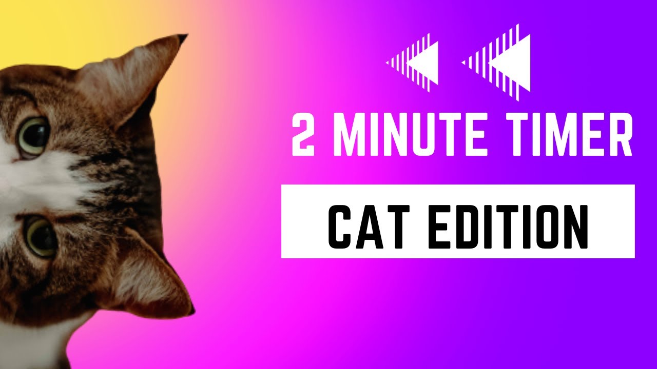 2 Minute Timer - CATS - YouTube