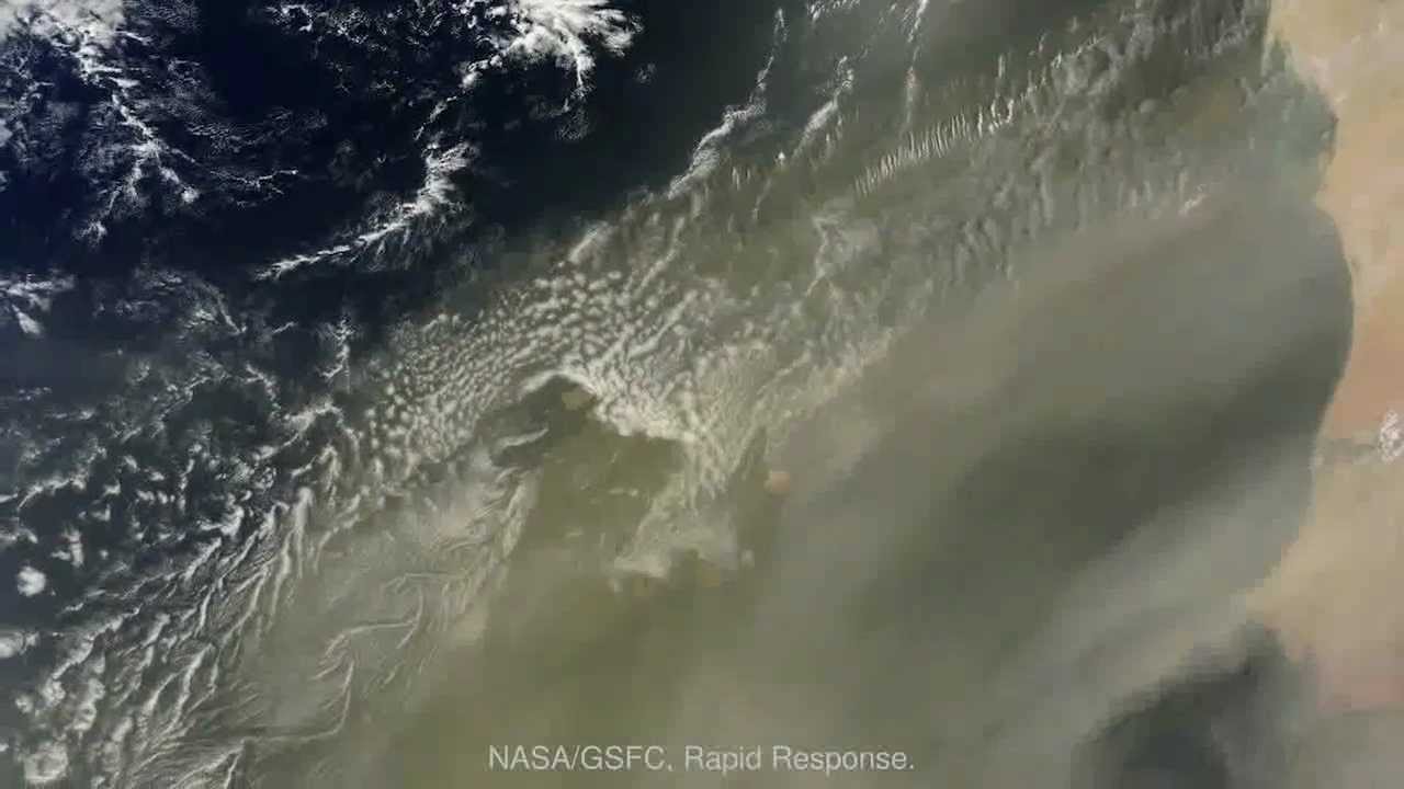 100th NJP VIDEO ABSTRACT - A two-species continuum model for aeolian ...