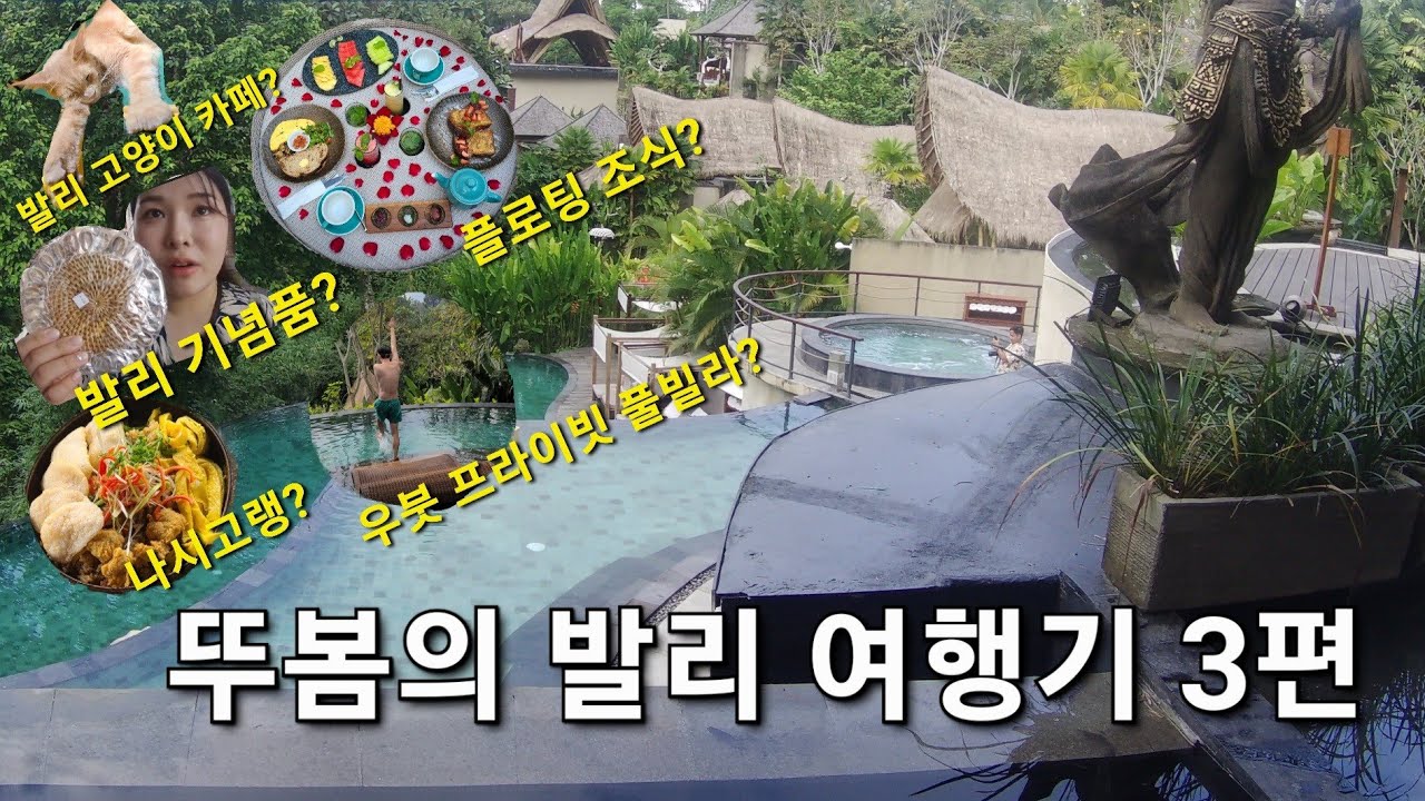 발리 커플신혼 여행 브이로그 3편 Bali Vlog 우붓 풀빌라 악사리 우붓 플로팅 조식 발리 고양이 카페