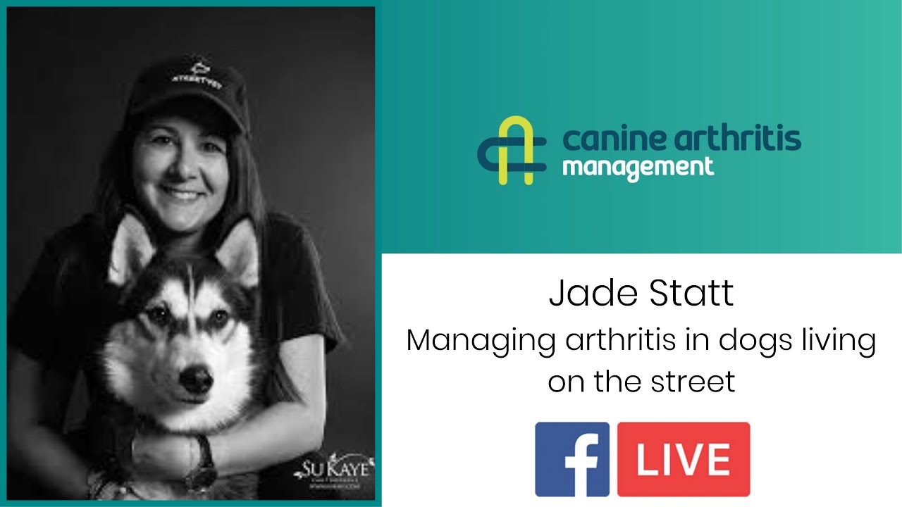 CAM LIVE: Managing arthritis in dogs living on the street with Jade ...