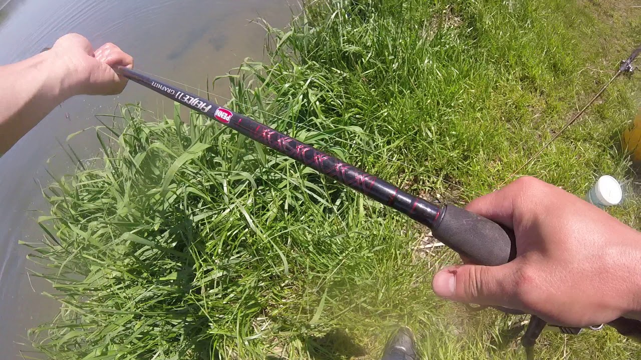 Wiper Caught On Cut Bait - YouTube