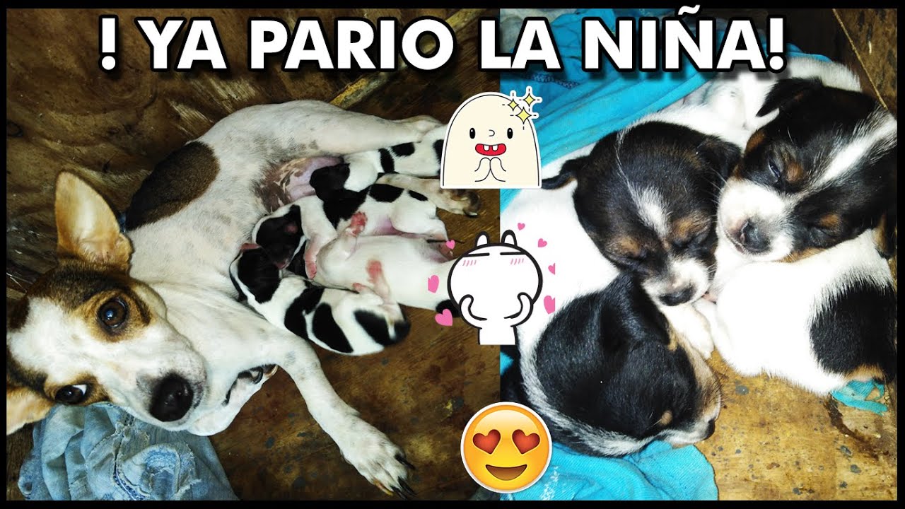 ¿CÓMO PARIÓ LA NIÑA? ES INCREÍBLE COMO TUVO A SUS BEBÉS el Záceta - YouTube