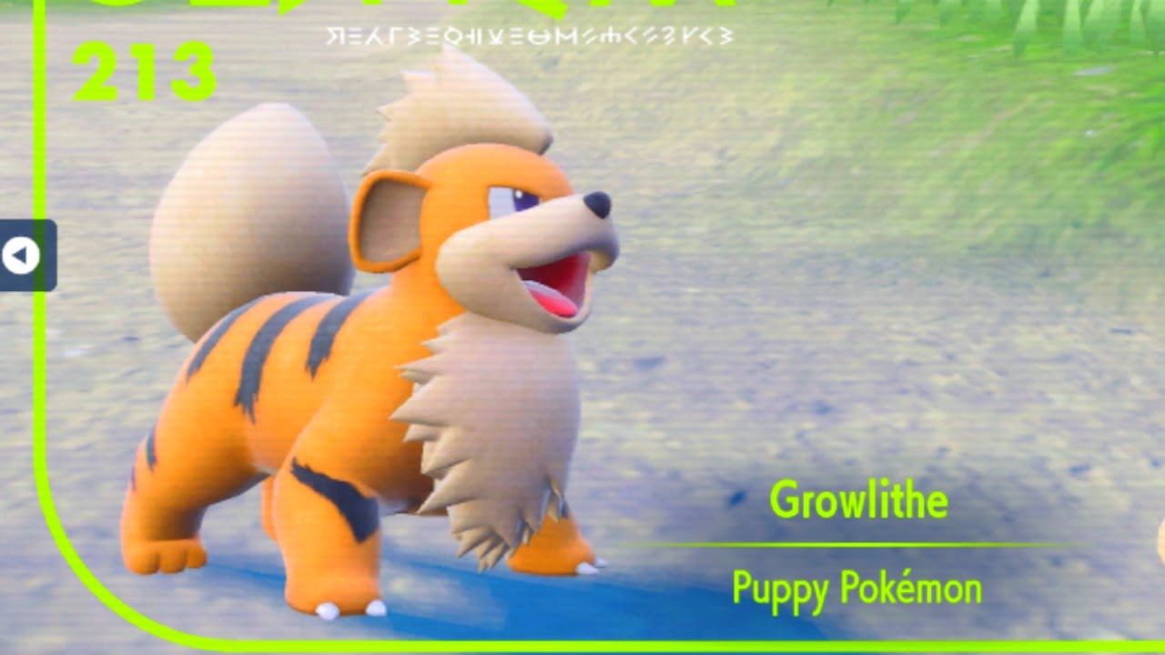 How To Find Growlithe EARLY in Pokemon Scarlet & Violet - YouTube