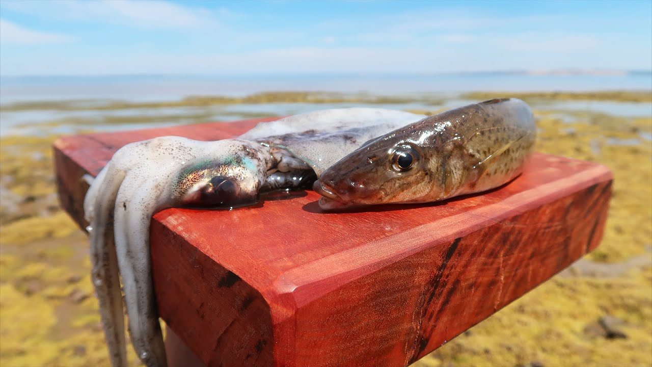 Catching and Cooking Two Delicious Fish!! - YouTube