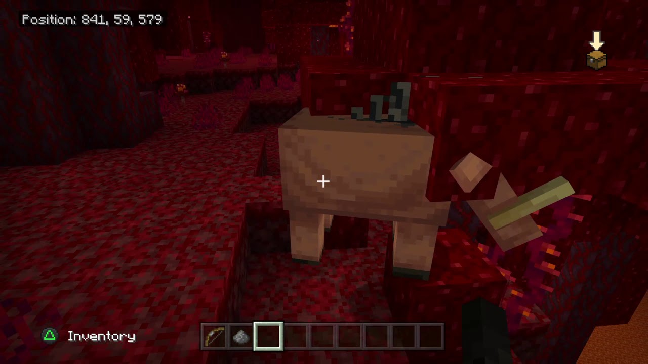 Taking a look at the Crimson Forest |Minecraft - YouTube