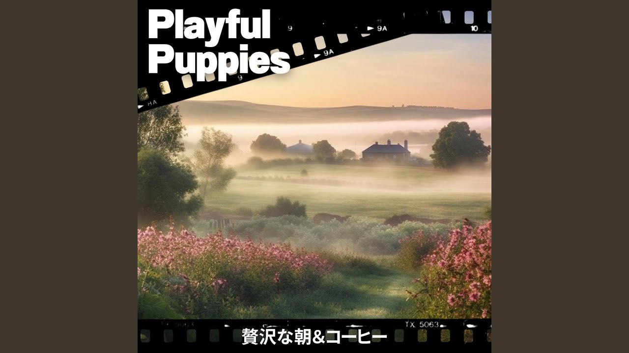 Cool Twilight Interlude - YouTube