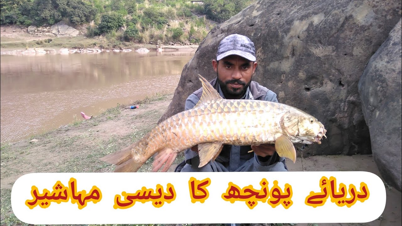 Amazing desi masher fishing - YouTube