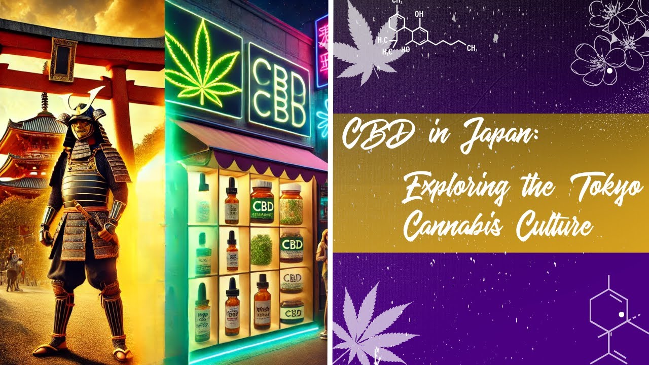 CBD in Japan: Exploring the Tokyo Cannabis Culture - YouTube