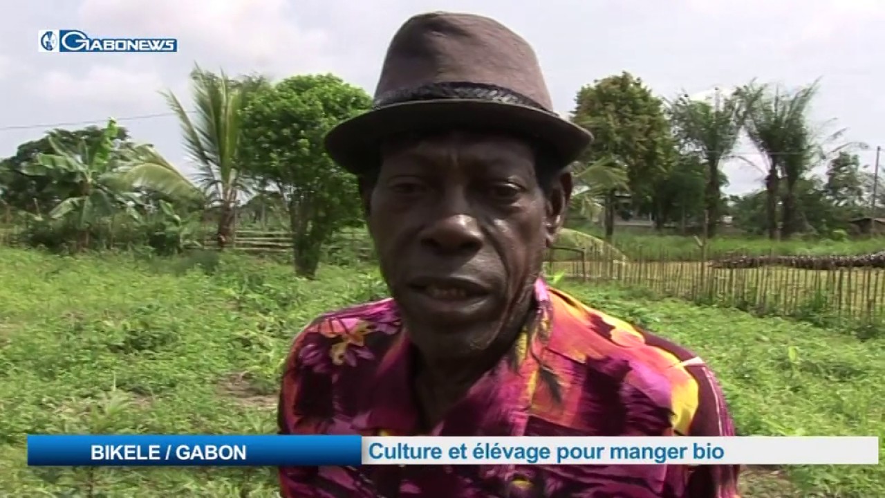 BIKELE / GABON: Culture et élévage pour manger bio - YouTube