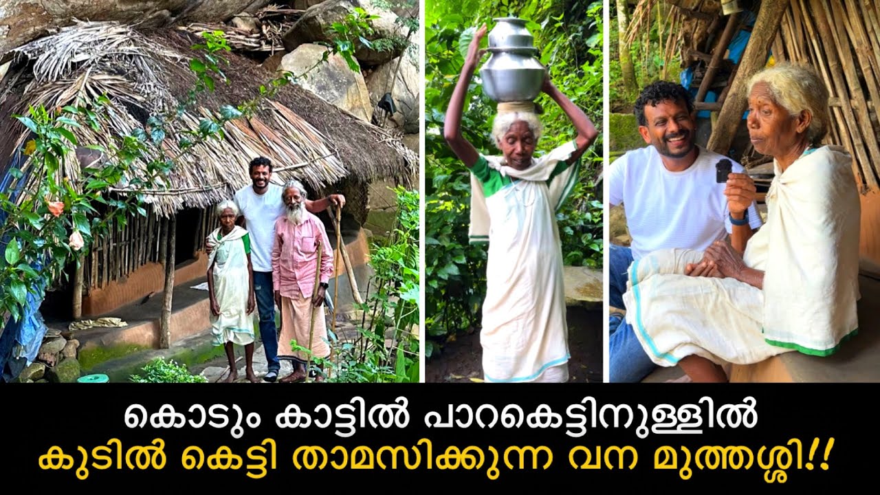 കൊടും കാട്ടിൽ പാറകെട്ടിനുള്ളിൽ കുടിൽ കെട്ടി താമസിക്കുന്ന വന മുത്തശ്ശി ...