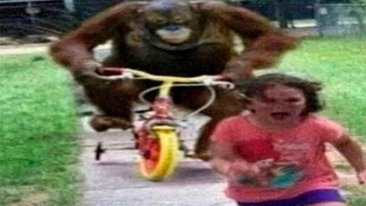 Goofy memes that will make your day better - YouTube