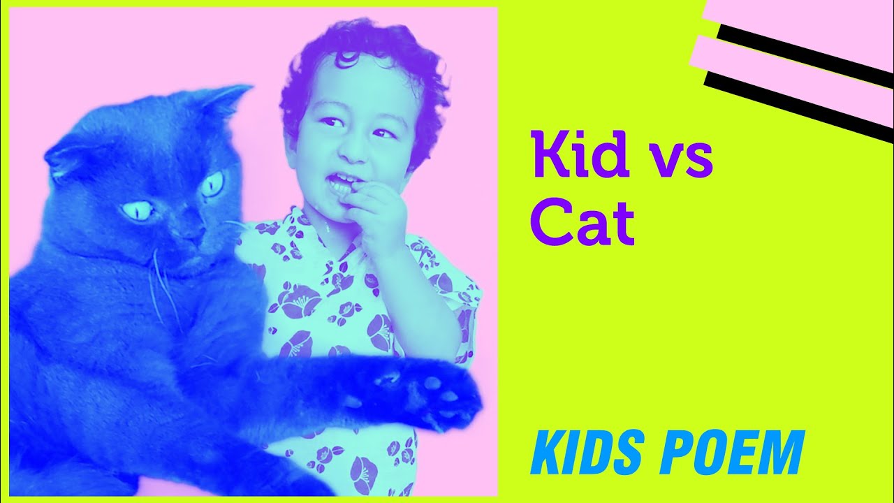 Kid vs Cat - YouTube