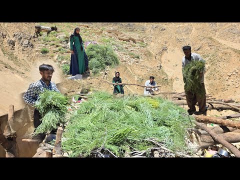 Nomadic Life: Nomad Summer Shelter🌿 | Nomadic Morning in the Mountains