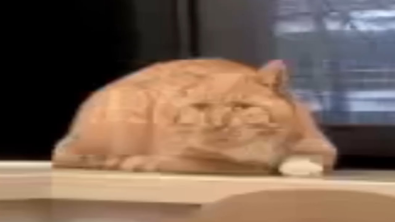 this MIGHT be the worst image ever - YouTube