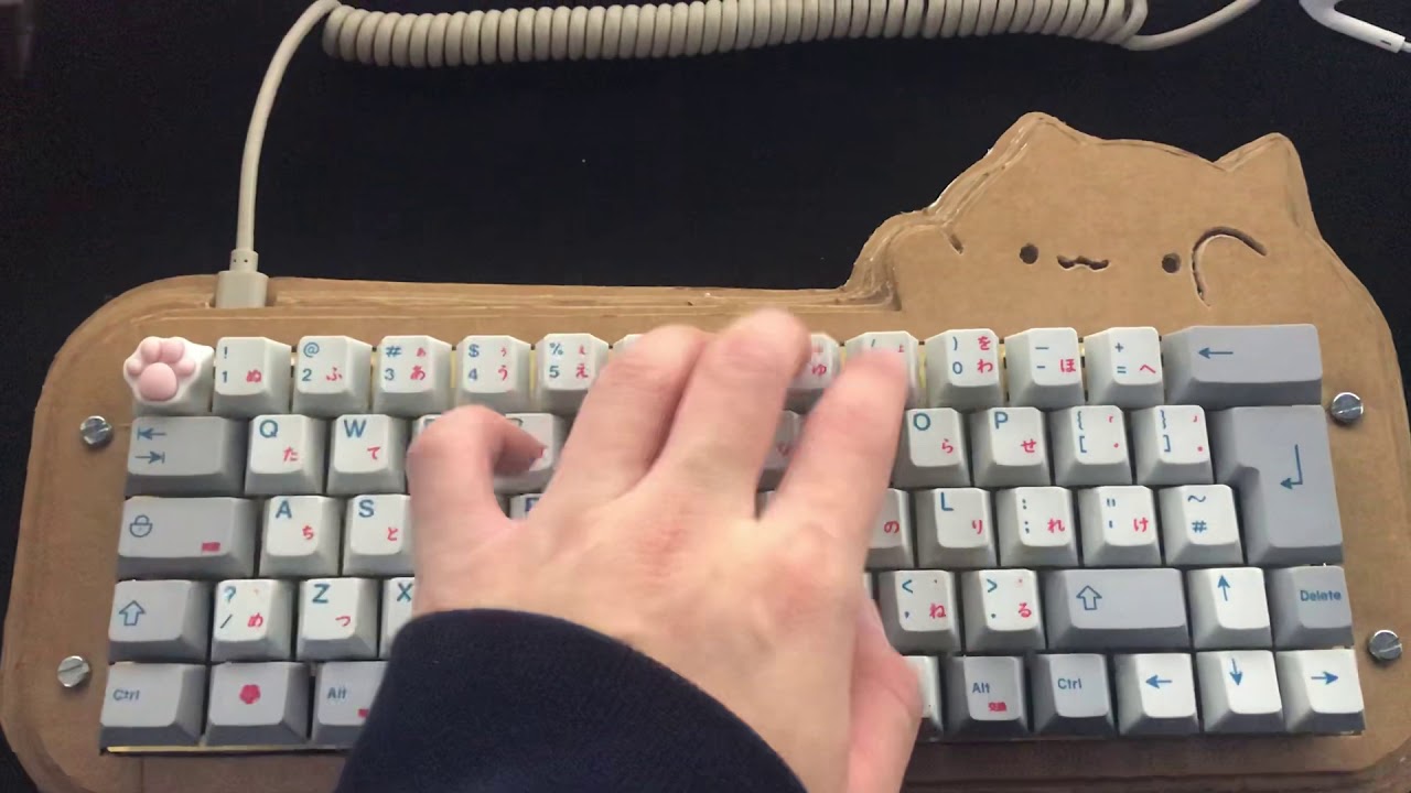 Cardlavier - Bongo/Keyboard Cat - YouTube