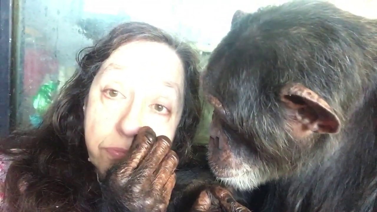 Extreme Grooming Compilation -- March 1, 2020 - YouTube