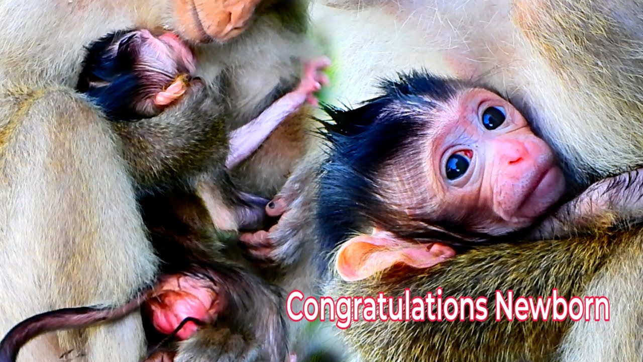 Congratulations!! young mama Jody Giving birth a new babie very ...