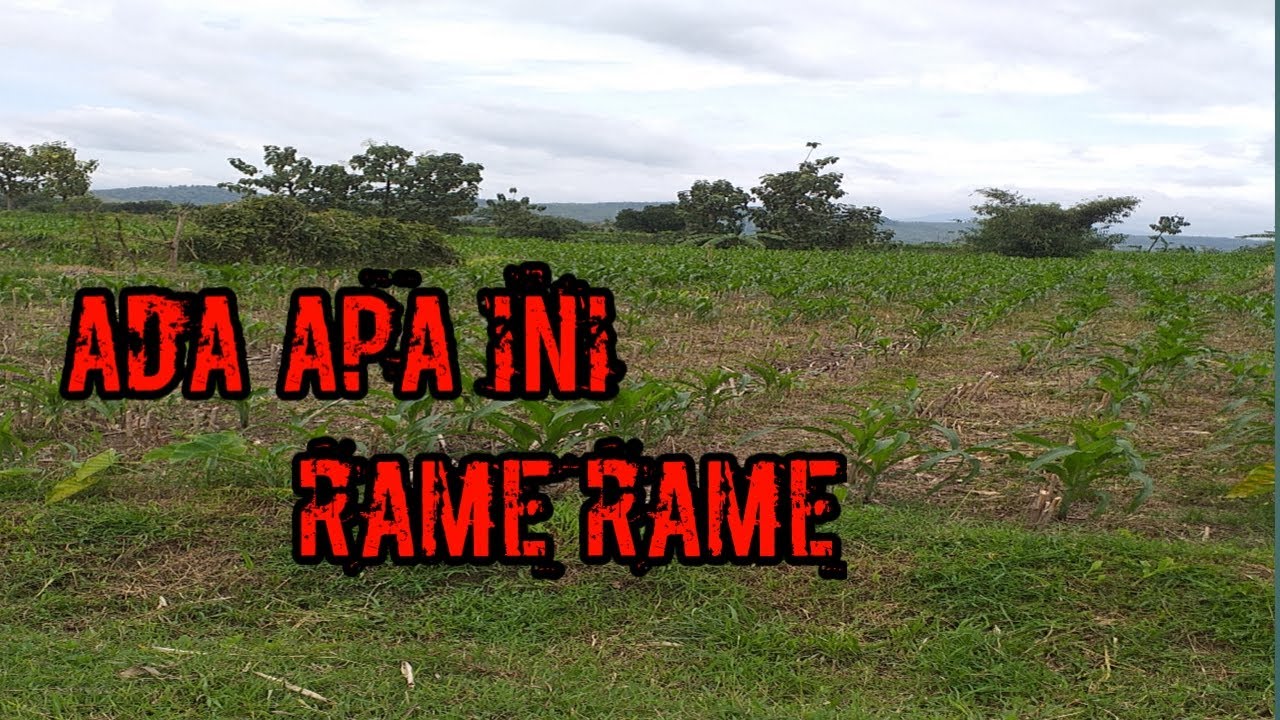 Ada apa ini rame rame - YouTube