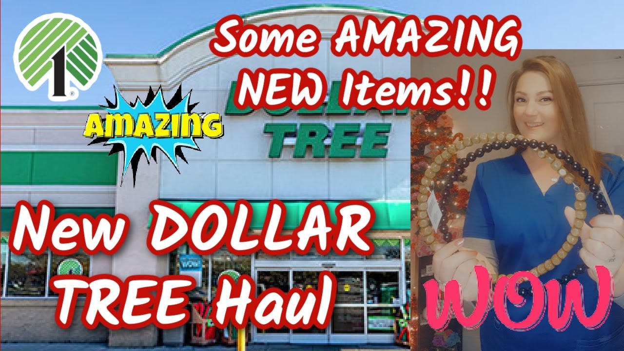 New DOLLAR TREE Haul with some AMAZING NEW Items! - YouTube