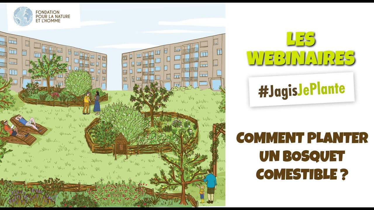 Webinaire - Apprendre à planter un bosquet comestible ! #jagisjeplante ...