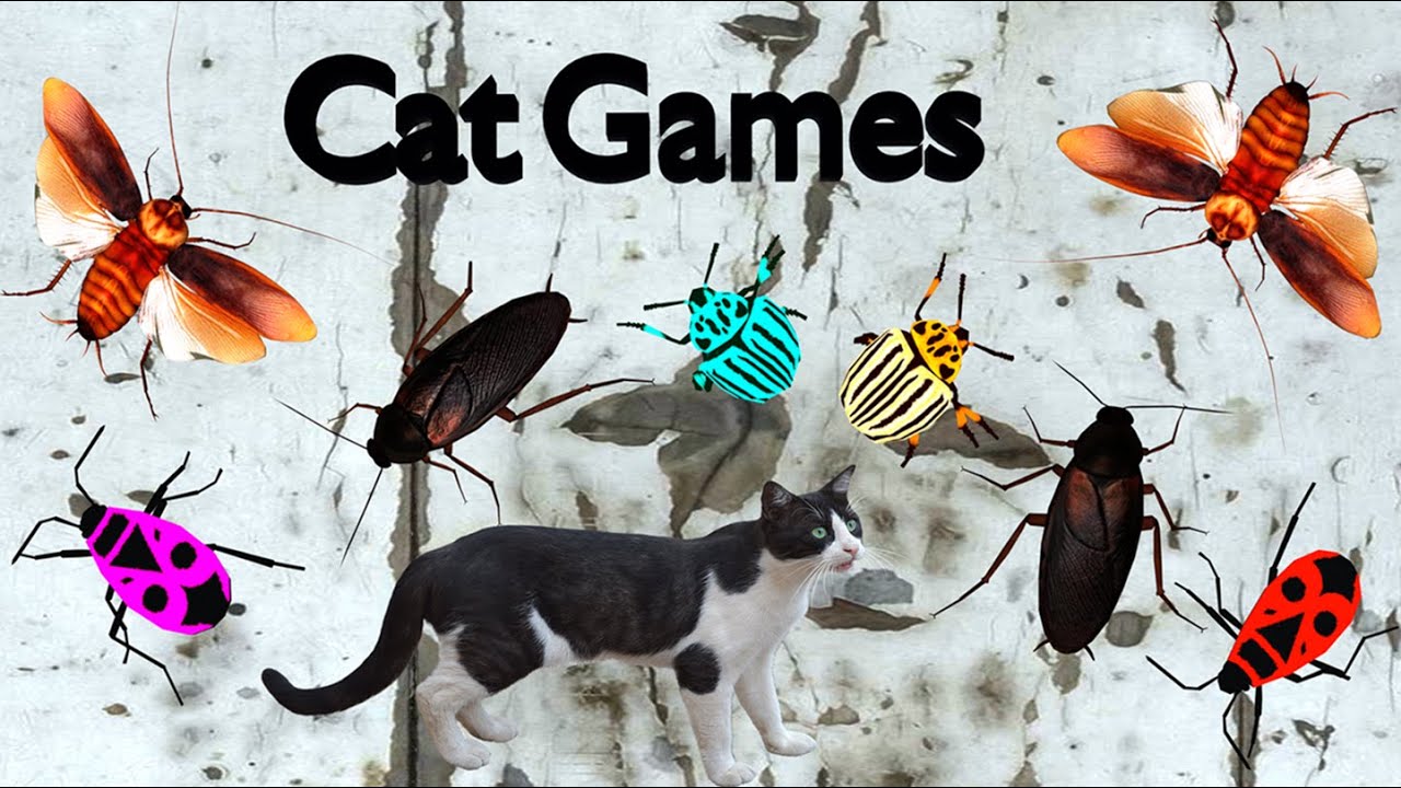 Cat Games! Realistic Cockroaches & Bugs Video for Cats to Watch 🪳🪲! Ultimate Cat TV - YouTube
