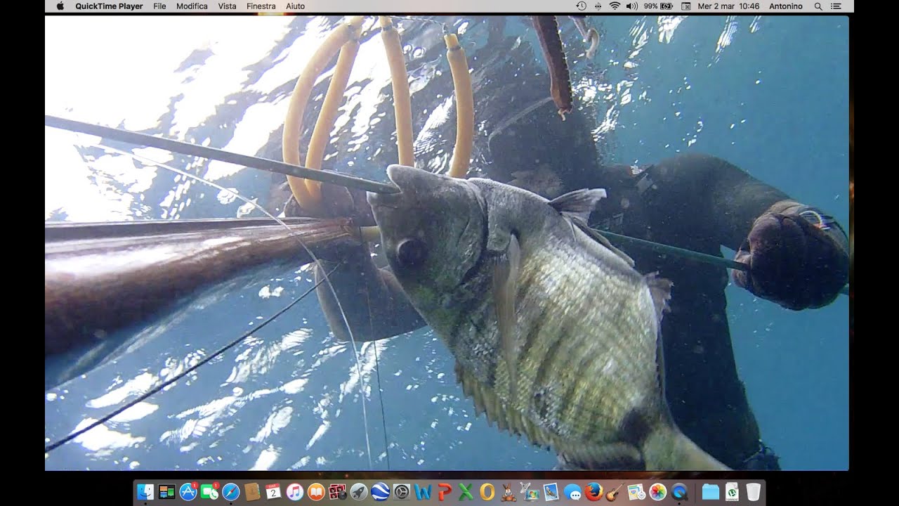 Pesca Sub 2016: Saraghi di Marzo - YouTube