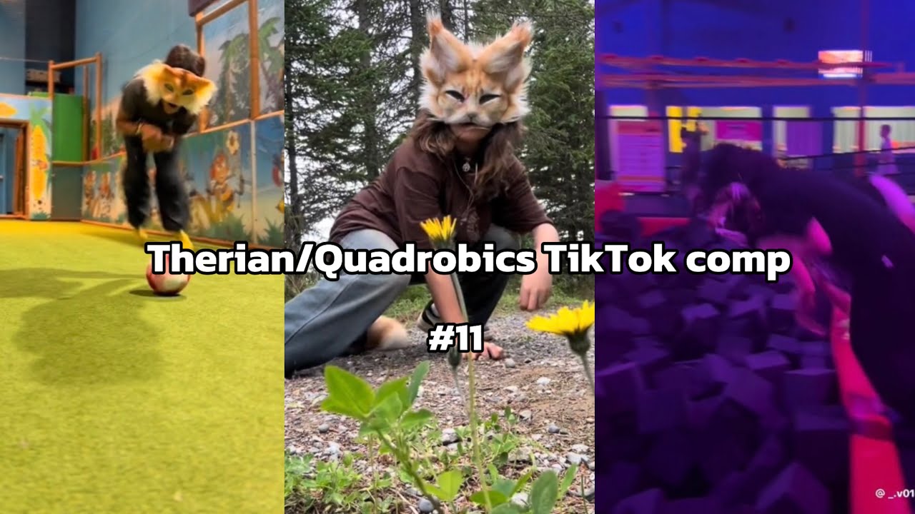 Therian/Quadrobics TikTok Compilation #11 🍂🐞🌀 - YouTube