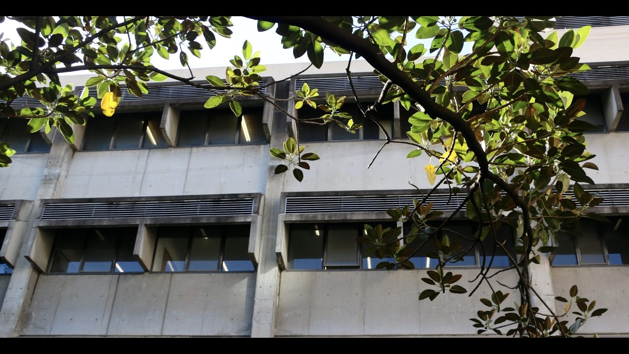 WILKINSON BUILDING - YouTube